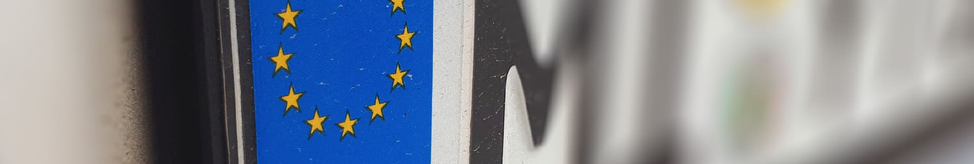 Placa de matrícula europea con montaje incluido | Feu Vert